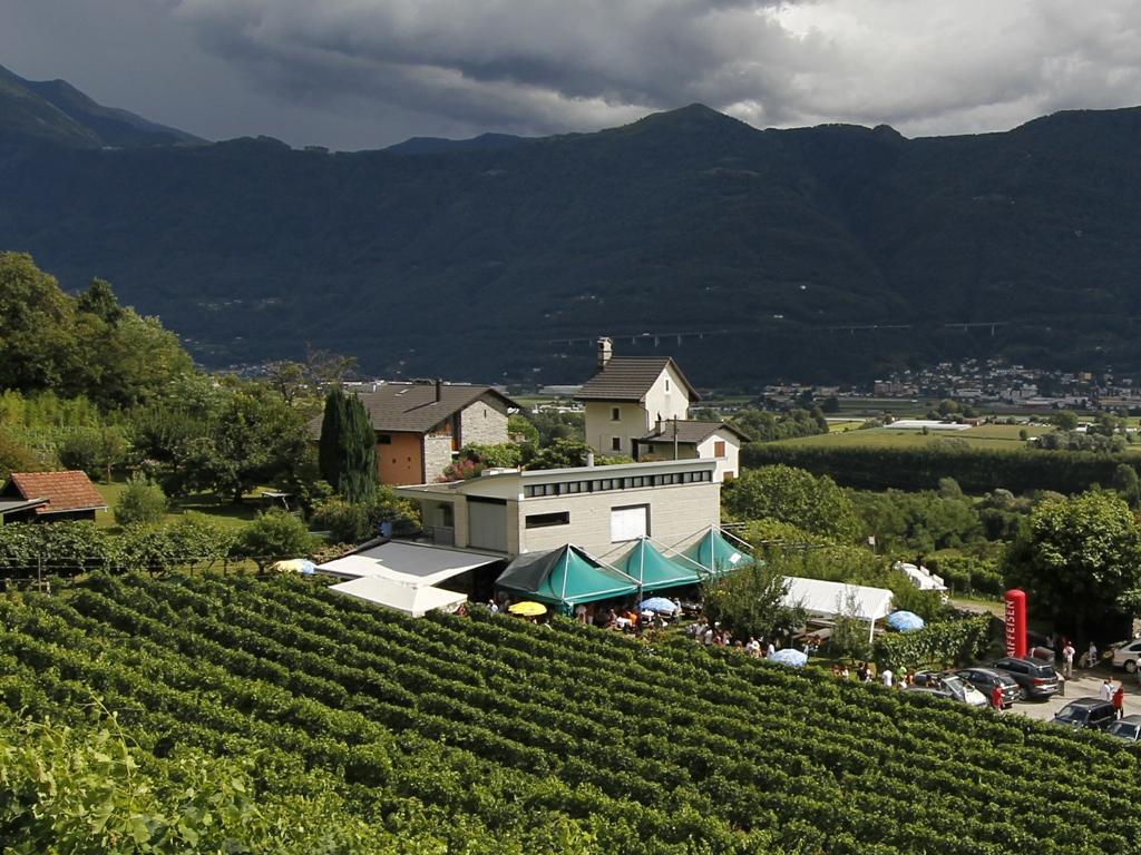 Vinattieri Ticino, Ligornetto - Aktivitäten im Tessin