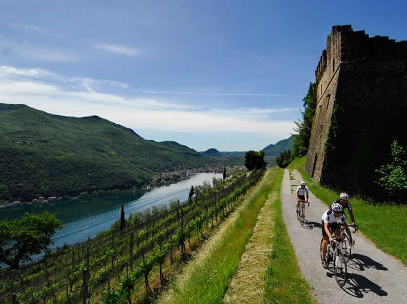 Itinerario tra i vigneti - Cosa fare in Ticino